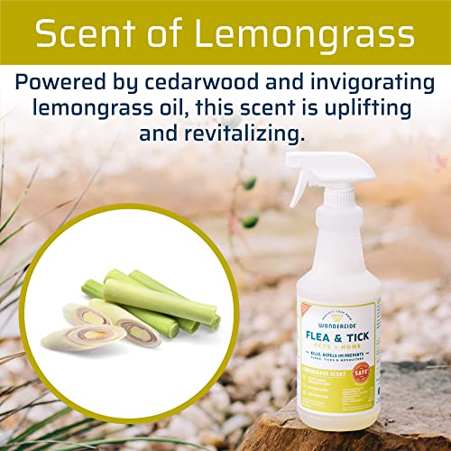 Wondercide - Flea, Tick and Mosquito Spray for Dogs, Cats, and Home - Flea and Tick Killer, Control, Prevention, Treatment - with Natural Essential Oils β 4 oz Lemongrass & Cedarwood 2-Pack