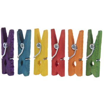Wooden Clips, Mini Colorful Wooden Clothespins, 100 Pack β for Craft Projects, Hanging, Home Decor, Holiday Gifts and More