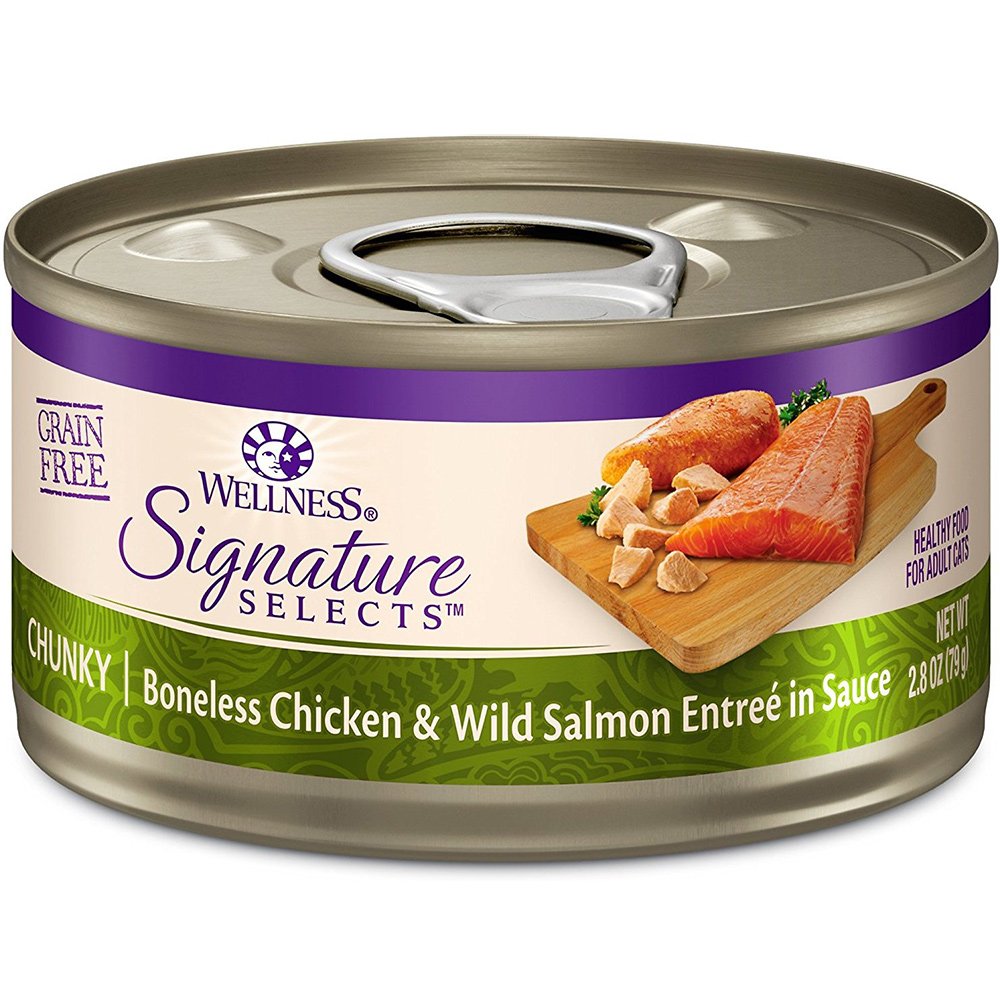 Wellness Canned Grain Free Wet Cat Food - Variety Bundle 4 Flavors Pack with Hotspot Pets Food Bowl (12 Cans) (Chicken & Beef, Chicken & Liver, Chicken & Salmon, Chicken & Turkey)(2.82oz)