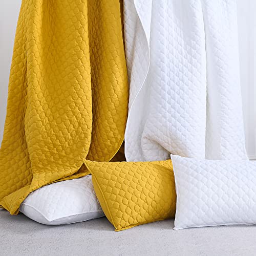 Yellow Quilt Queen Size, Lightweight Quilt for Summer Ultra-Soft Microfiber Modern Style Quilted Clouds Pattern Bedspread Quit Set 3 Pieces((1 Quilt and 2 Pillow Shams)