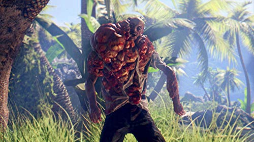 Dead Island Definitive Edition Collection (PS4)