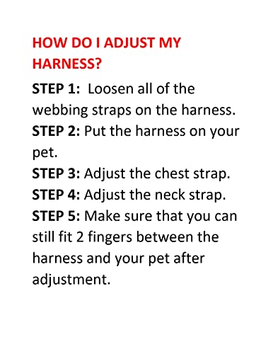 Voyager Step-in Air All Weather Mesh Harness and Reflective Dog 5 ft Leash Combo with Neoprene Handle, for Small, Medium and Large Breed Puppies by Best Pet Supplies - Set (Baby Blue), M