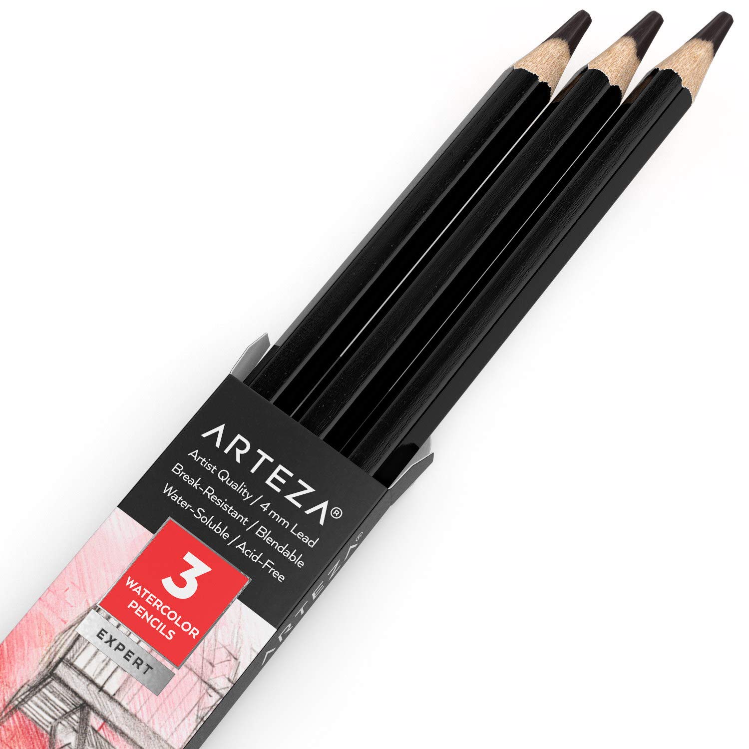 Arteza Professional Watercolor Pencils, Pack of 3, A017 Noir, Water-Soluble Pencils for Coloring, Blending, Layering & Watercolor Techniques