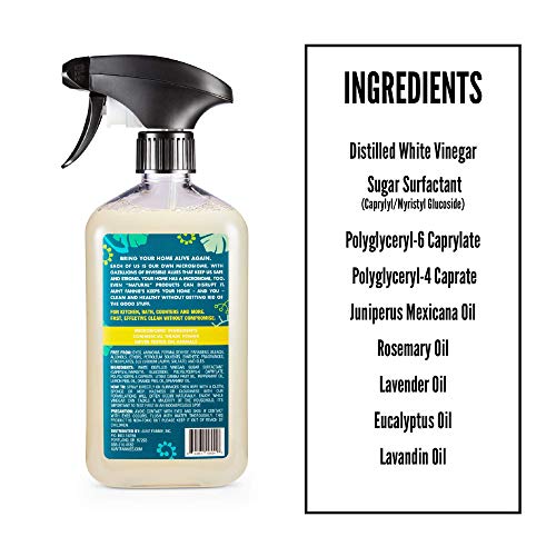 Aunt Fannie's All Purpose Cleaning Vinegar, Multisurface Spray Cleaner, 16.9 Ounces, Lemon Scent (Pack of 1)