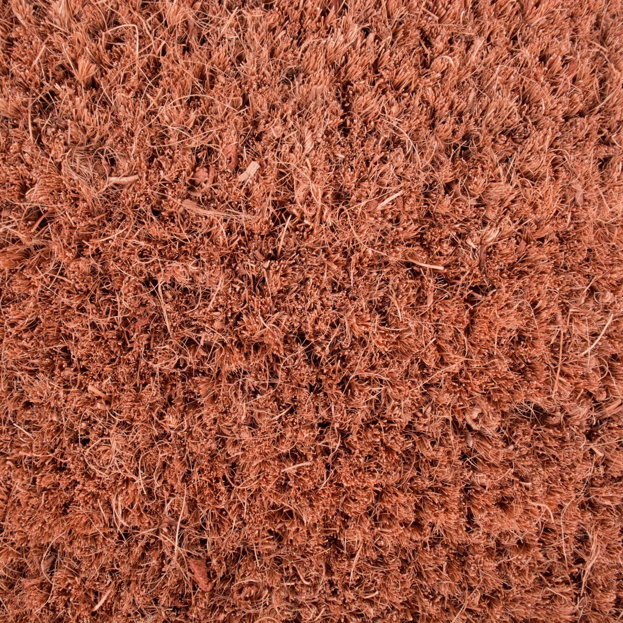 DII Heavy Duty Coir Doormat with Nonslip Vinyl Backing, Welcome Mat Outdoor Entry Way & Front Porch Décor, Home Sweet Gnome, 17x29