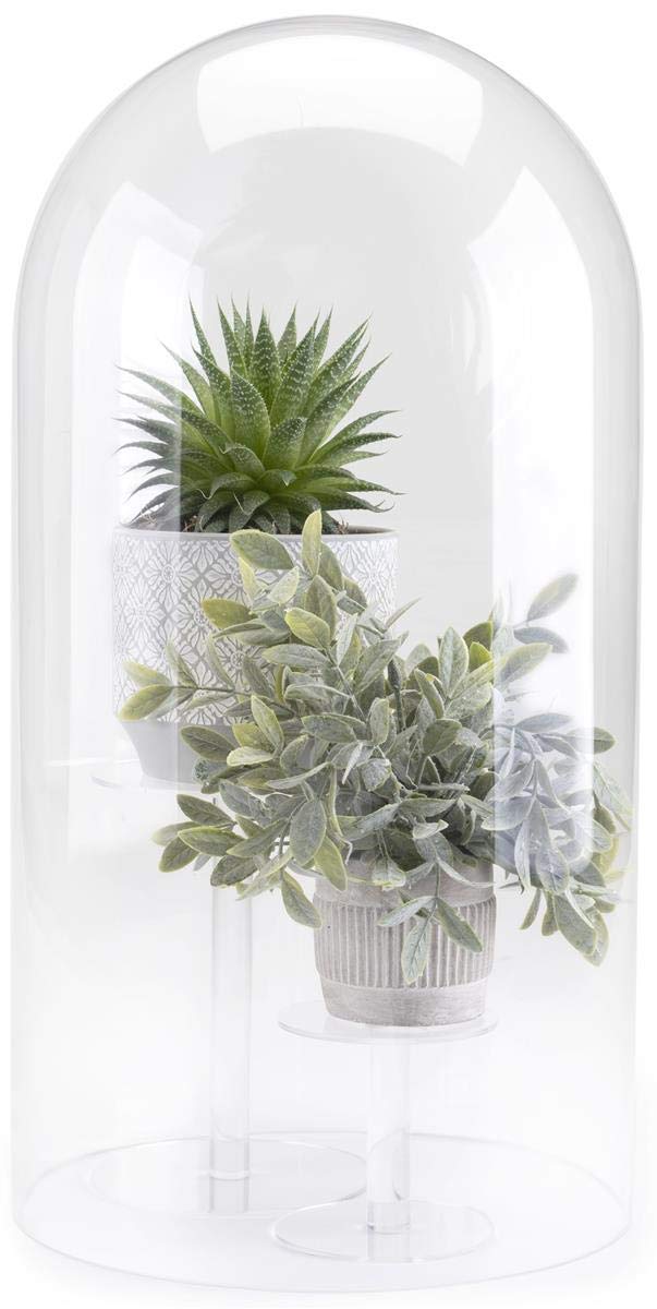 Displays2go Large Glass Dome Display with Baseless Design, 12" x 24" — Clear (DCGDOMEL)