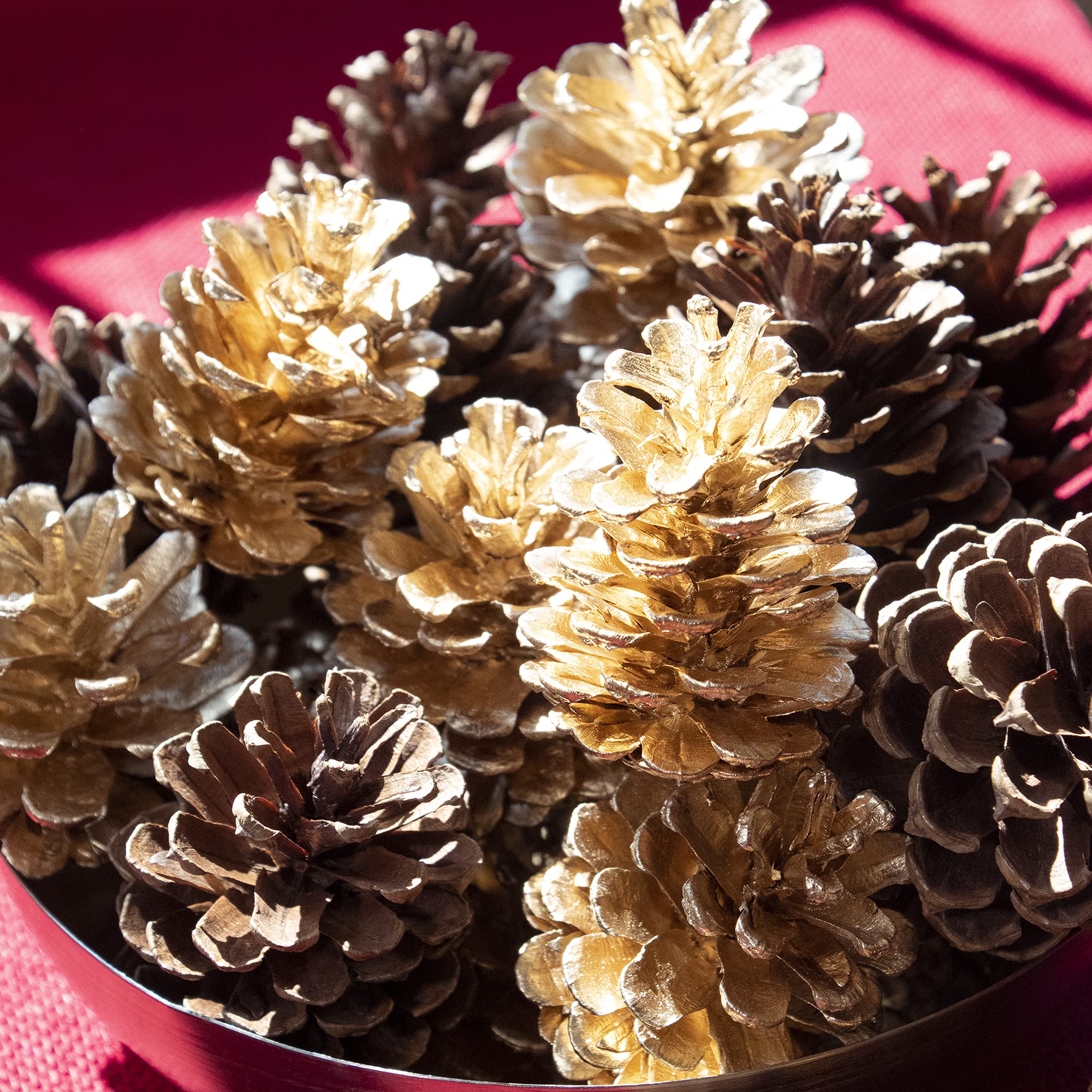 ANDALUCA Mixed Natural & Gold Decorative Pinecone Vase & Bowl Fillers | Pinecones for Decorating & Home Decor (Gold)
