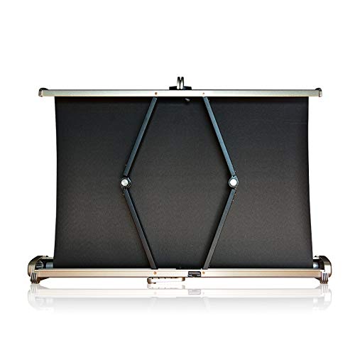 APAINI 20 Inch Projector Screen 16:9 Desktop Portable Front Projection Screen for Business Meeting