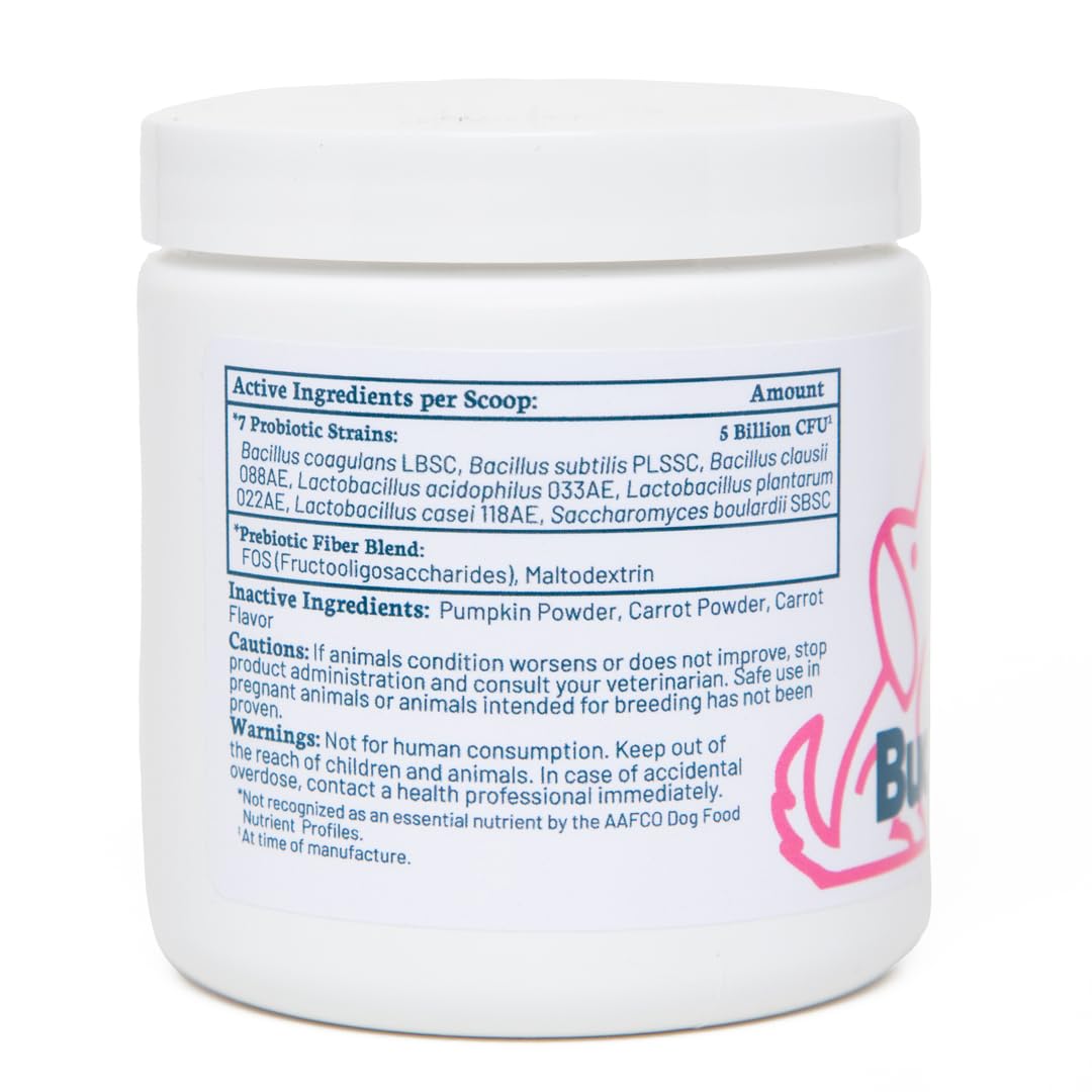 Buddy Biotics Probiotic + Prebiotic for Dogs- Gut Flora Health, Digestive and Immune Health, Diarrhea and Bowel Support β 5 Billion CFU per Scoop
