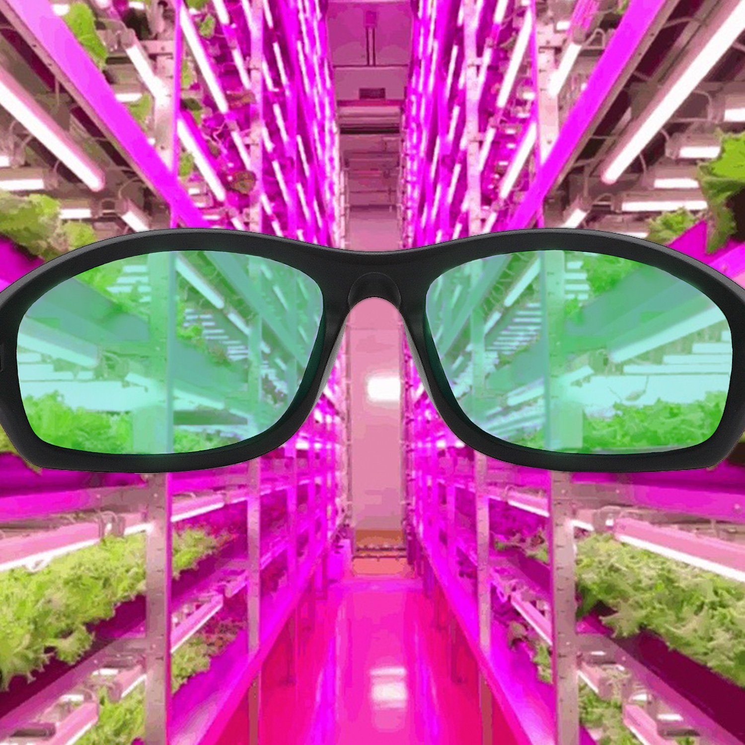 Apollo Horticulture Grow Light Glasses Goggles for Wear Fit Over Glasses for LED Grow Light Room UV400 Grow Room Safety Protective Eyewear for Intense LED Lighting Visual Eye Protection