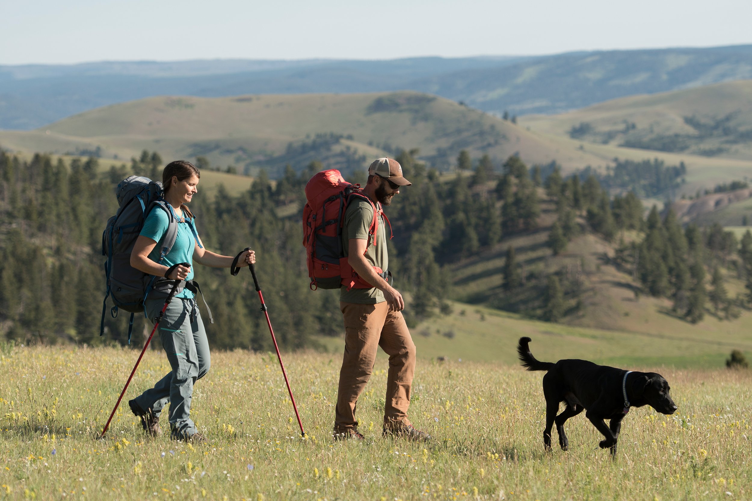 ALPS Mountaineering Momentum Trekking Pole
