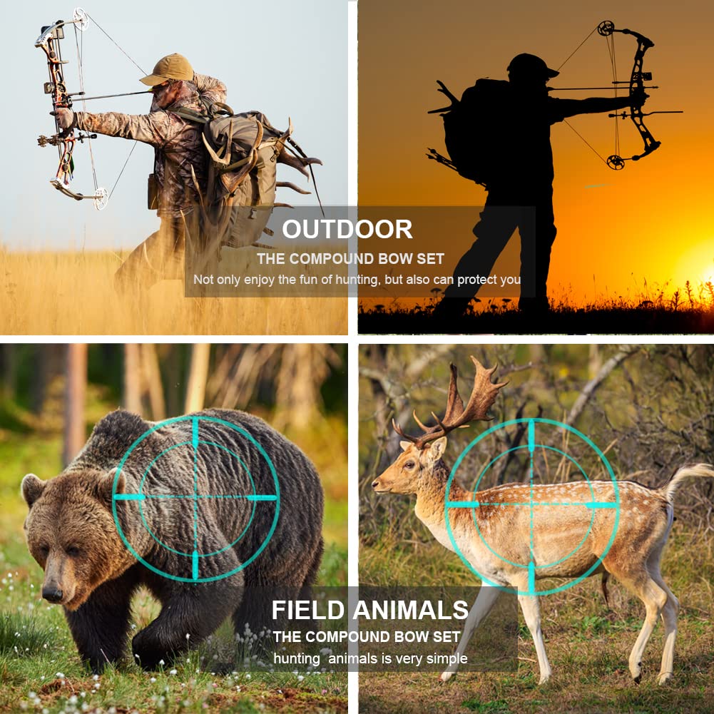 Archery Compound Bow and Arrow for Adults and Youth，Bowfishing and Hunting Bow Set, 320 fps,18"-30" Draw Length,35-70 Lbs Draw Weight, Package with Archery Hunting Equipment Black