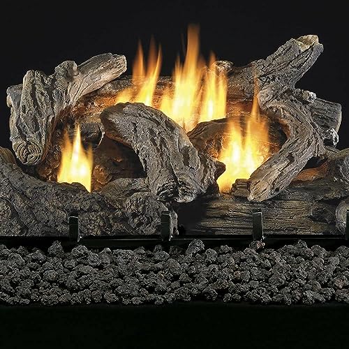 ProCom PCNSDS24RT Dual Fuel Ventless Fireplace Logs Set with Remote Control, Use with Natural Gas or Liquid Propane, 32000 BTU, Heats up to 1100 Sq. Ft, Realistic Painted, 24 Inches