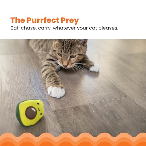 Catstages Lil' Avocato Dental Health Catnip Cat Chew Toy