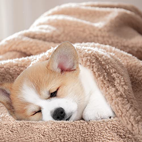Bertte Sherpa Fleece Baby Blanket | Plush Swaddle Receiving Blankets Super Soft Warm Lightweight Breathable for Infant Toddler Crib Stroller - 33"x43" Large, Light Beige