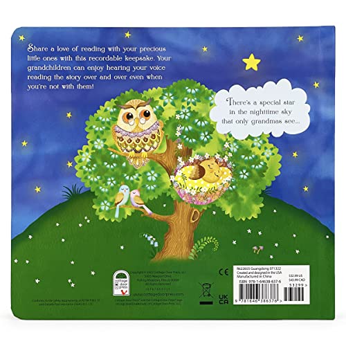 Grandma Wishes: Recordable Keepsake Board Book - Record Your Voice Reading the Story!