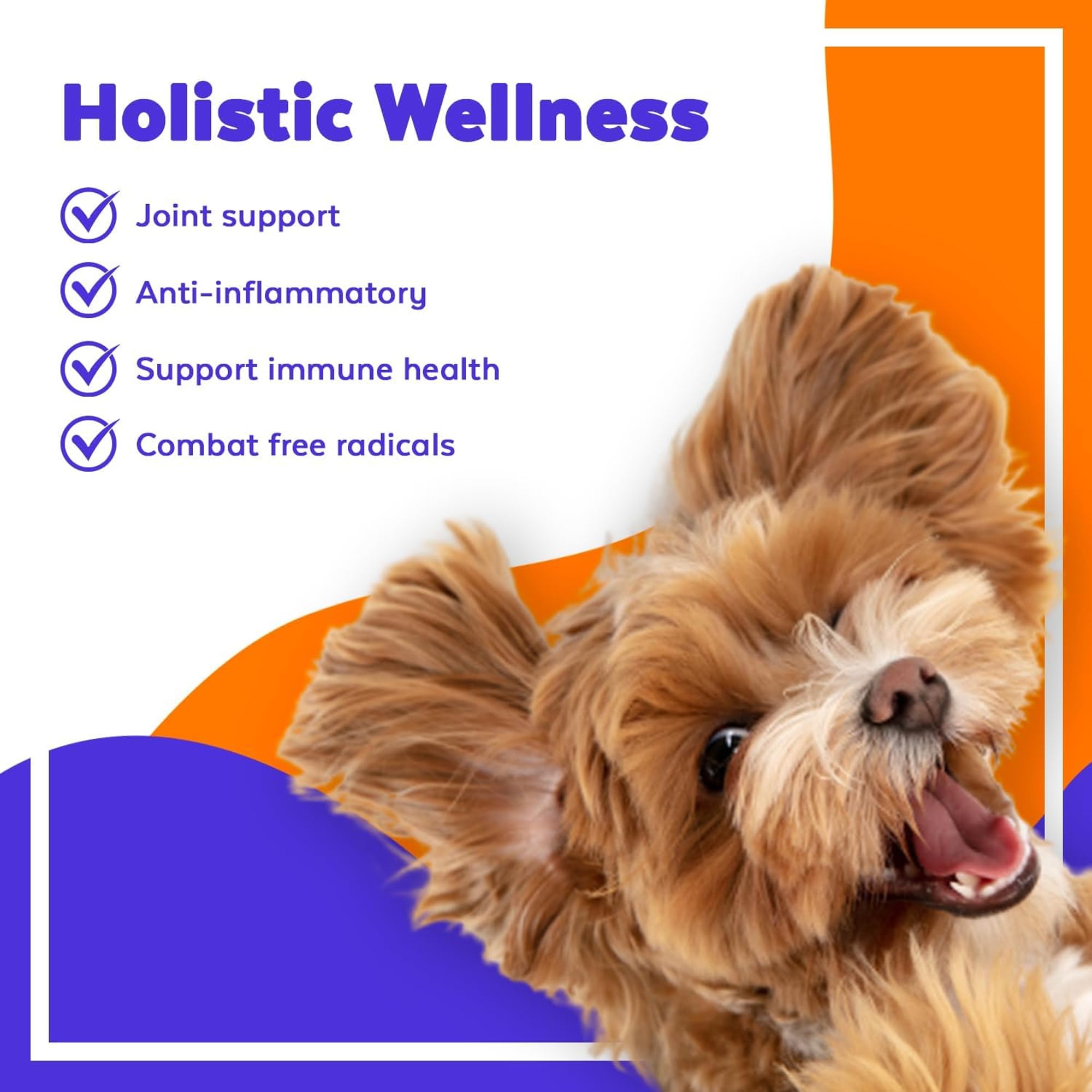 Supplement Anti Inflammatory for Dogs with Turmeric, Hip, and Joint - Dog Arthritis Pain Relief, Support for Mobility & Wellness, USA Made-GMP Certified, Non-GMO, 120 Tablets - Jack & Milo