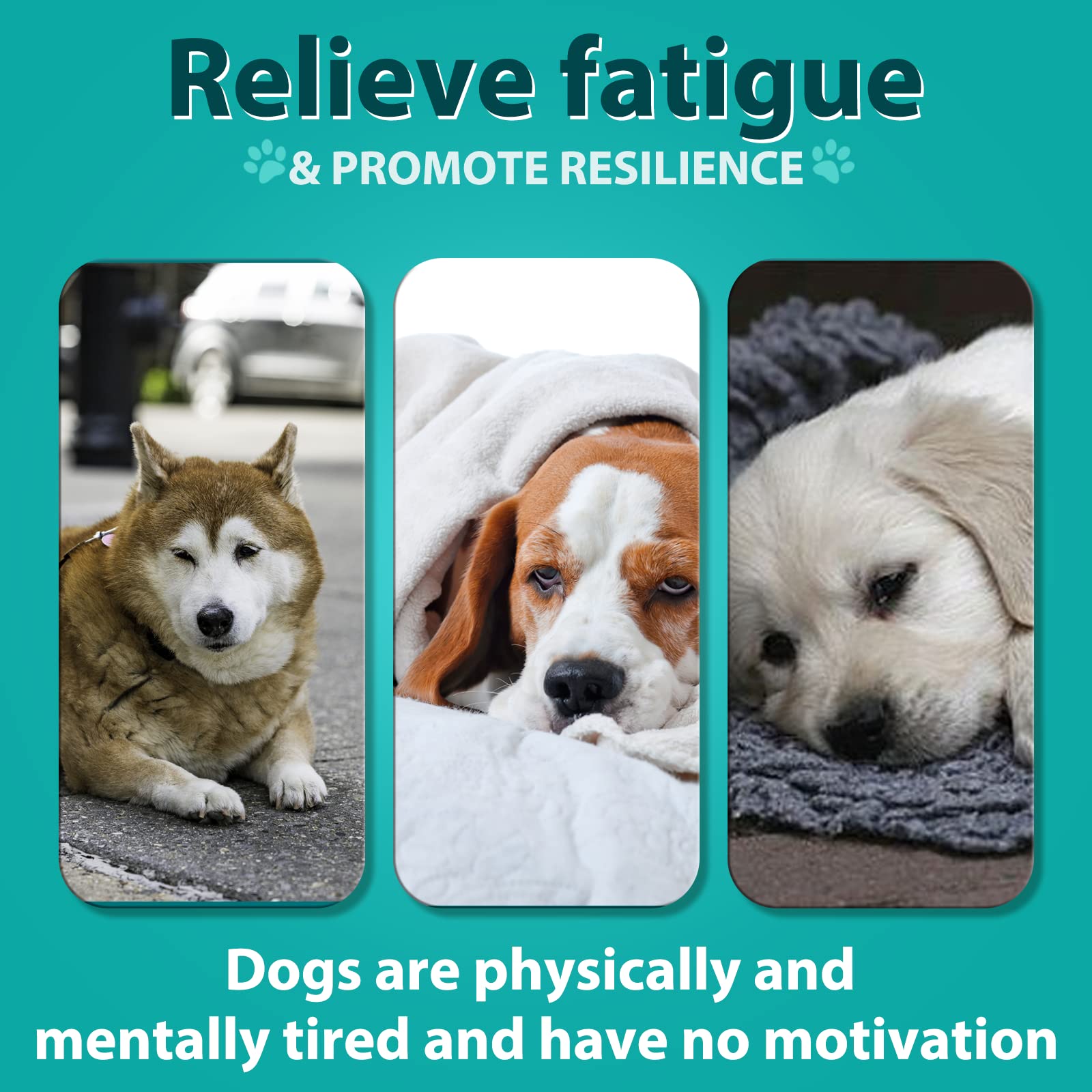 Bieyoc Calming Chews for Dogs, Pet Care Calming Chews for Dogs, Natural Ingredients Calming Dog Treats (Chicken)