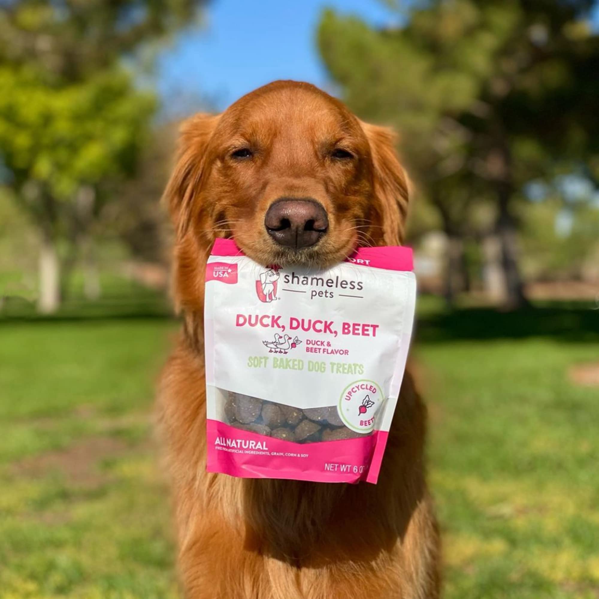 SHAMELESS PETS Soft Dog Treats - Natural, Healthy Dog Treats Made with Upcycled Ingredients & Zero Artificial Flavors, Grain Free Dog Biscuits, Supports Digestion - Duck Duck Beet, Pack of 2