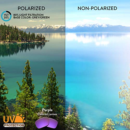 Apex Lenses Non-Polarized Replacement Lenses for Dragon Hype Sunglasses (Purple)