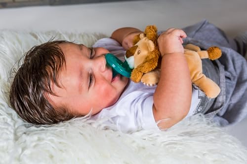 Mary Meyer WubbaNub Soft Toy and Infant Pacifier, Afrique Lion (42554), 1 Count (Pack of 1)
