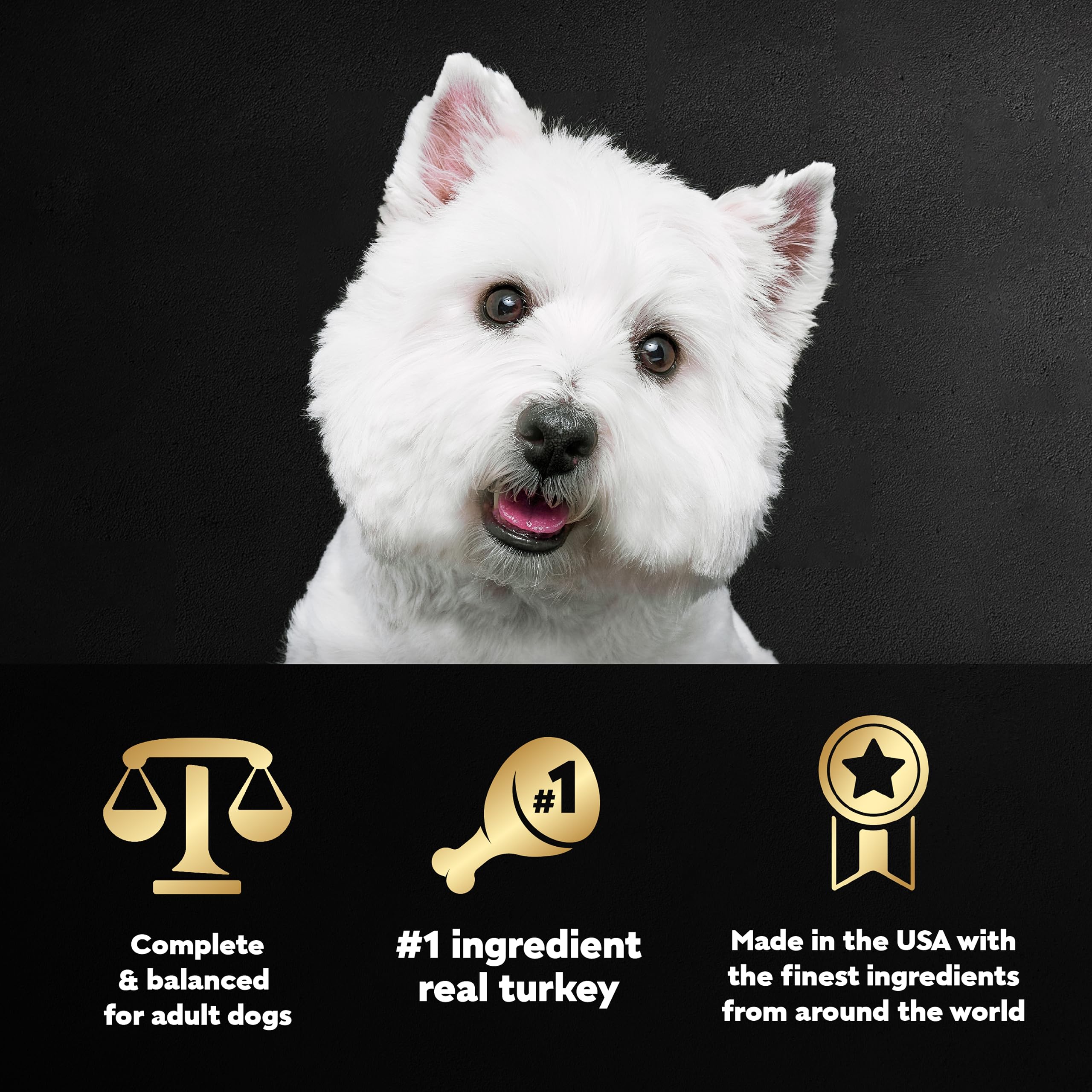 CESAR Soft Wet Dog Food Filets in Gravy Turkey Recipe, (24) 3.5 oz. Easy Peel Trays
