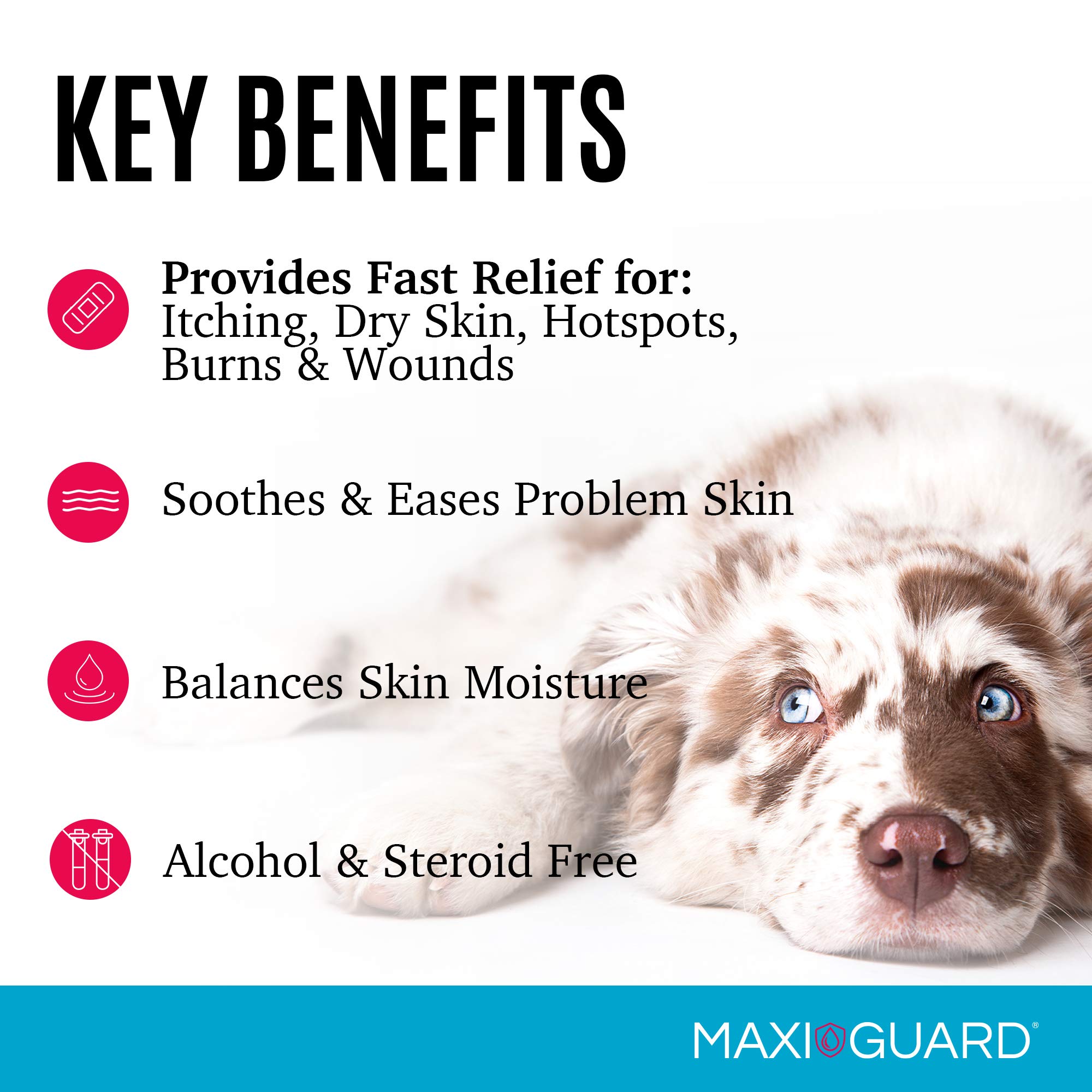 Maxi-Guard Pet Skin Care Gel Zn7 Derm with Neutralized Zinc for Dogs, Cats, Bovine, Exotics and Companion Animals (2oz), red/White