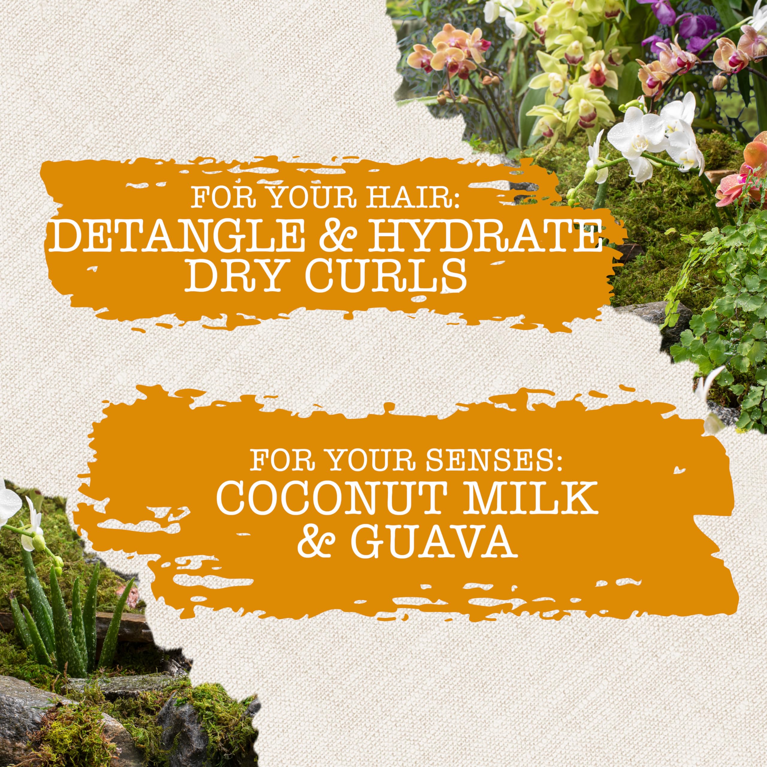 Maui Moisture Nourish & Moisture + Coconut Milk Conditioner to Hydrate and Detangle Curly Hair, Lightweight Daily Moisturizing Conditioner, Vegan, Silicone & Paraben-Free, 13 fl oz