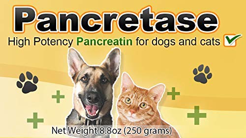 CK Formulations | Pancretase Digestive Enzymes | 10x Pancreatin | Pancreatin for Dogs and Cats | Pancreatic Enzyme | Great for Pets with EPI