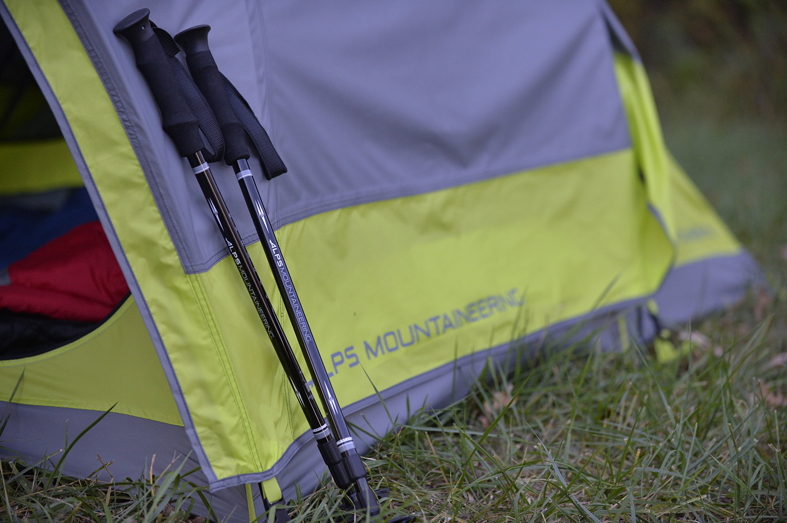 ALPS Mountaineering Explorer Trekking Pole Black, One Size
