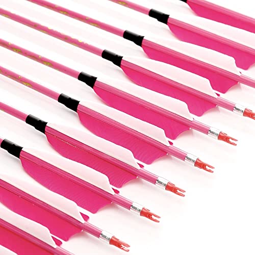 annastar 30" Carbon Feather Arrows Practice Hunting Arrows Spine 300 340 400 500 600 700 800 for Recurve Bow & Compound Bow (12 pcs) (30inch Spine 500, Pink)