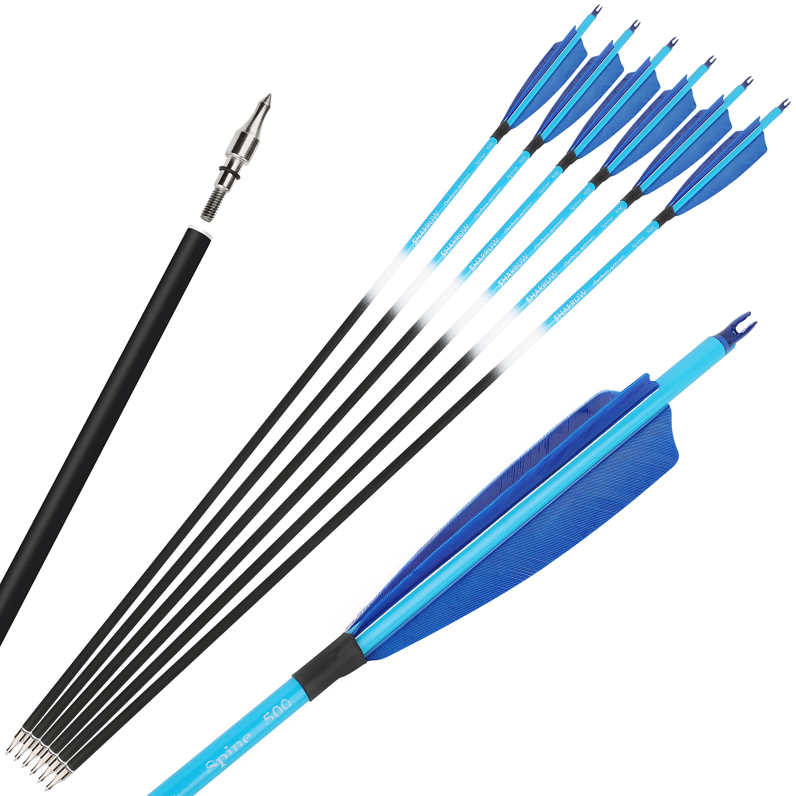 AMEYXGS 12Pcs Archery 30Inch Carbon Arrow Target Practice Hunting Arrow Spine 500 with 5inch Shield Turkey Feather Removable Tips for Traditional Recurve Compound Bow Longbow (Blue, 12)
