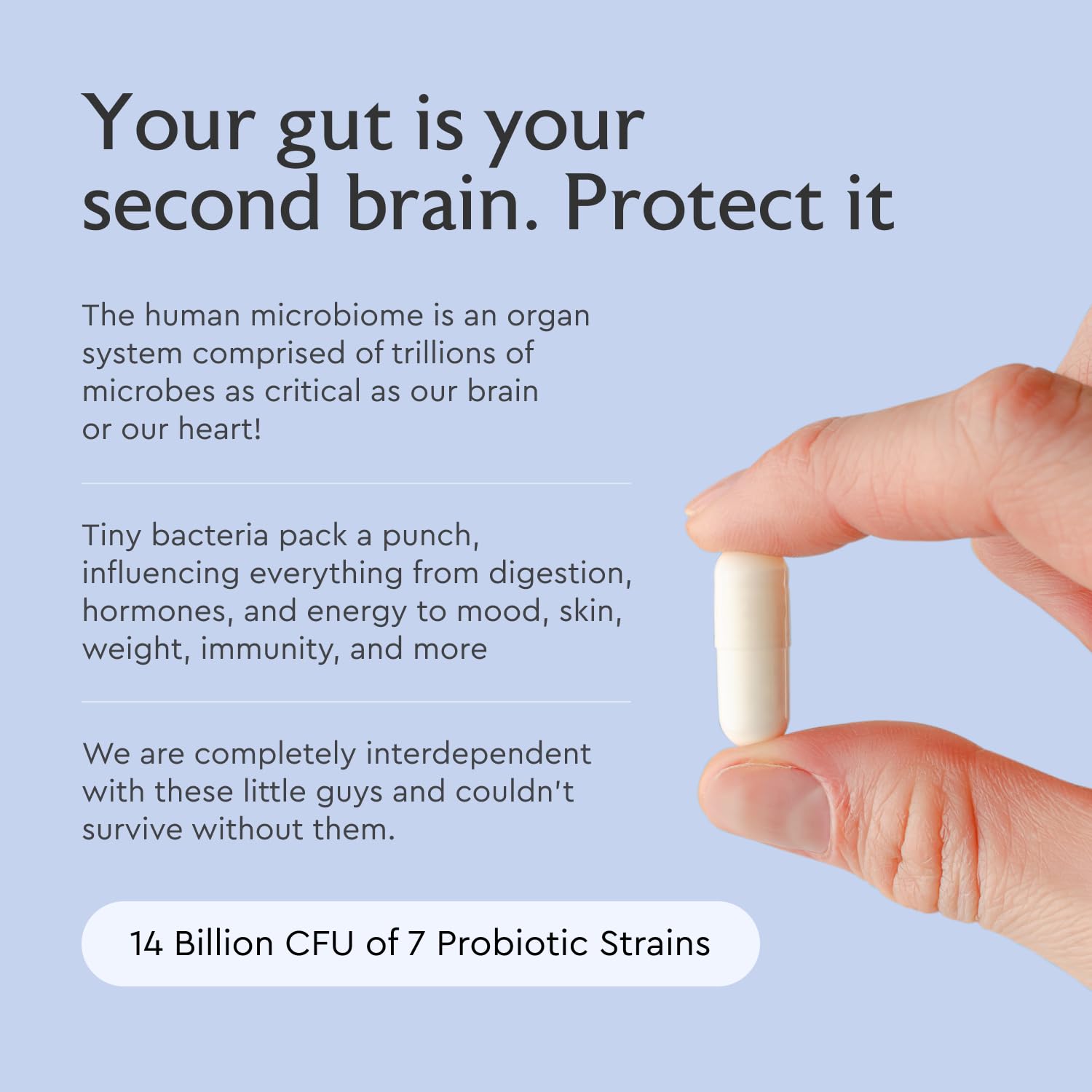 Alaya Naturals Advanced Synbiotic - Probiotic + Prebiotic - 14 Billion CFU Delayed Release Probiotic Supplement with Prebiotics from Sunfiber®, and L-glutamine for Gut Lining Integrity - 60 Capsules