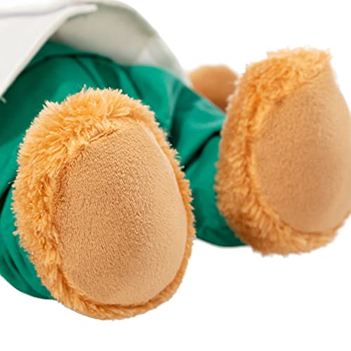 HollyHOME Doctor Bear Stuffed Animal Plush Teddy Bear in Scrubs and White Coat Gifts for Doctors Students and Kids 10 Inch