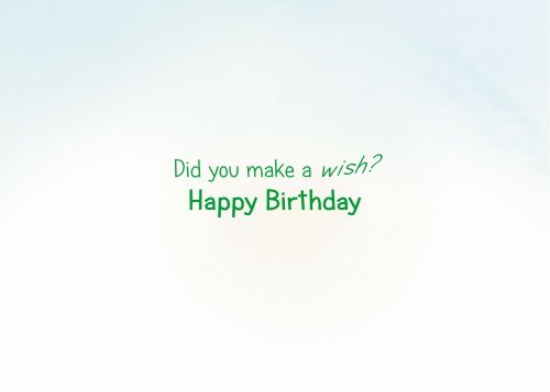 Avanti Birthday Card Collection, It's Your Birthday, 12-Count (200069)