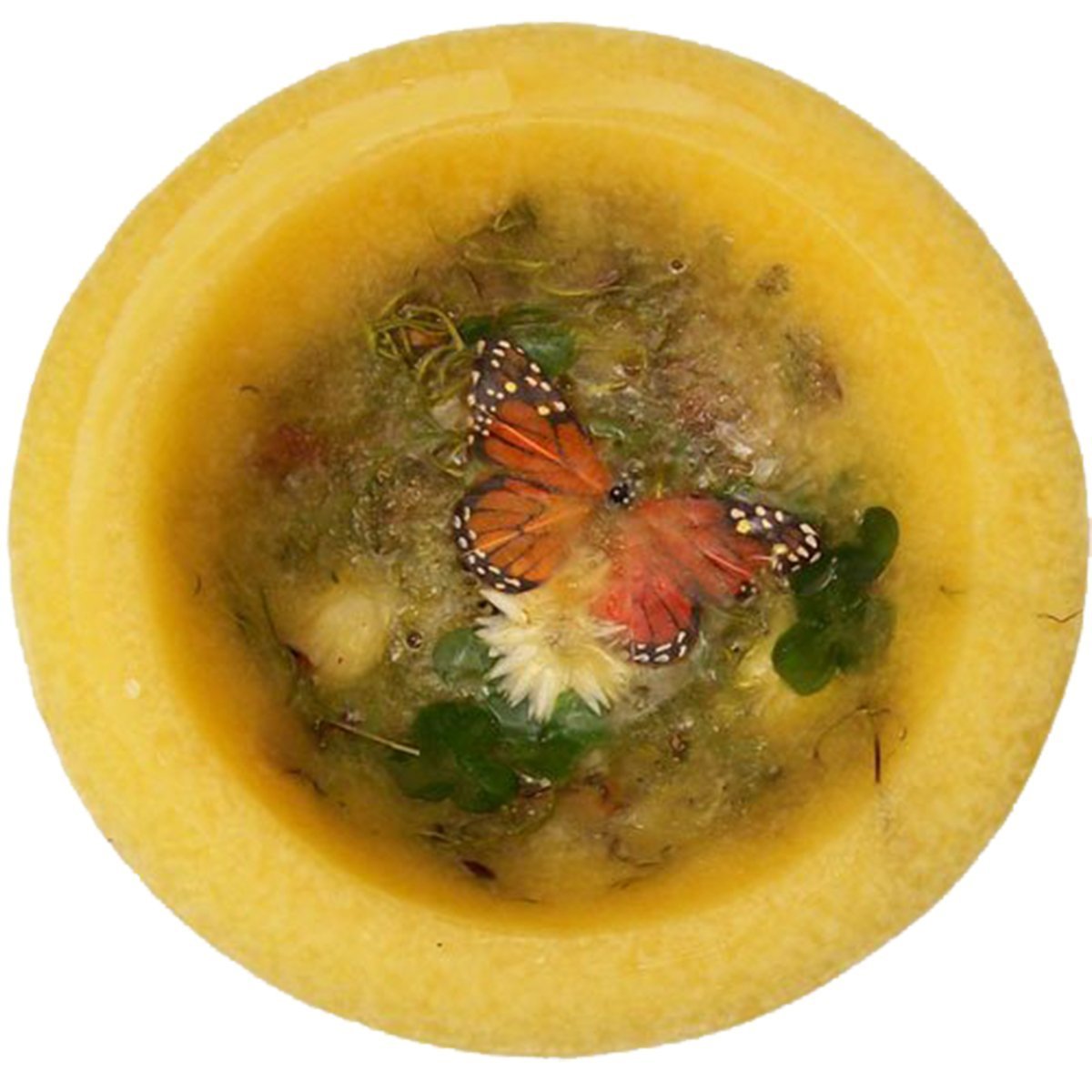 Habersham Wax Pottery Bowl, Butterfly Garden (7 in Vessel with Stand)