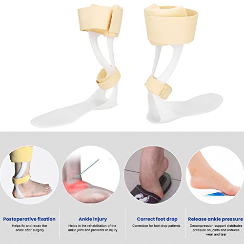 Ankle Foot Orthosis Support Drop Foot Splint Half Palm Design Lightweight Ergonomic Hollow Heel Adaptive for Injury Recovery