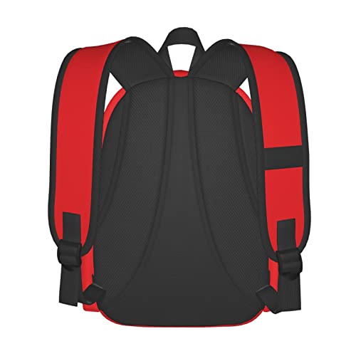Anime Backpacks Laptop Backpack Novelty 3D Printed Travel Camping Hiking Daypack Shoulders Bag
