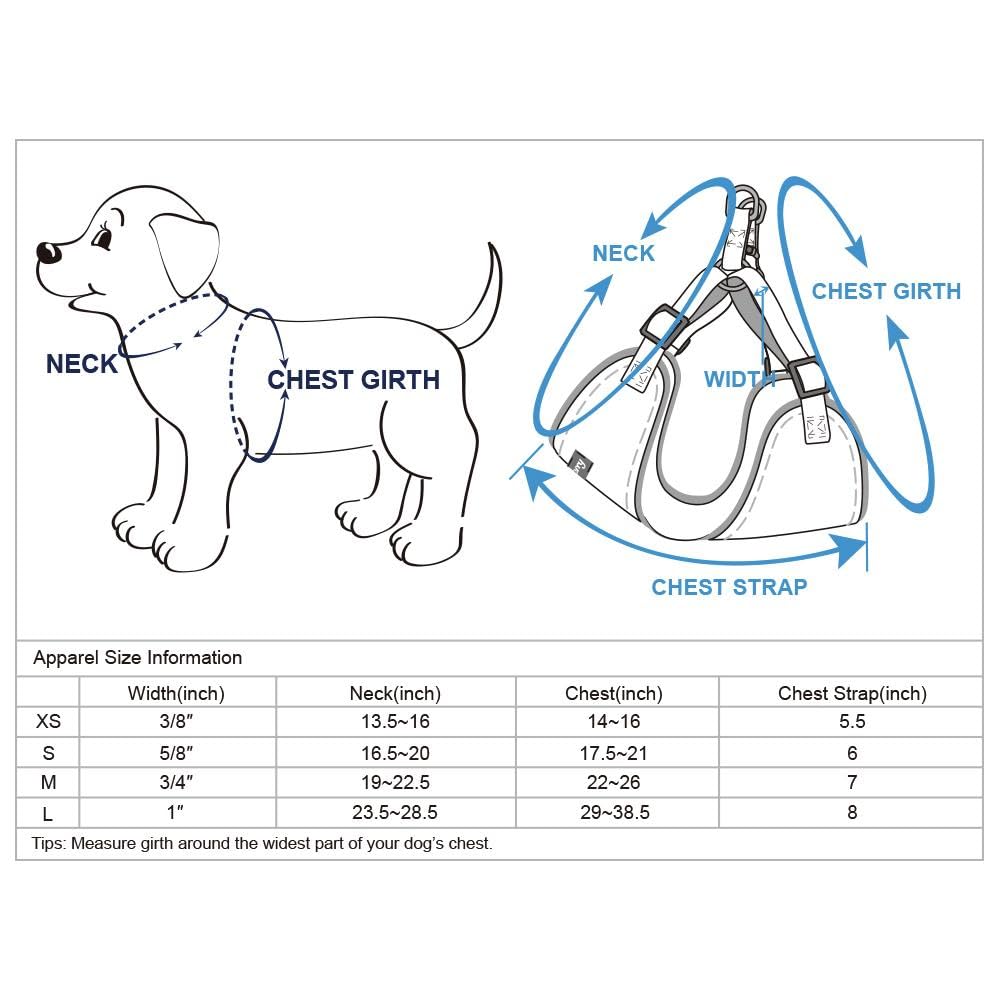 Blueberry Pet Essentials Reflective Better Basics Matching Dog Collar Leash Harness Set in French Blue, Adjustable Collar with Harness & 5 ft Leash for Medium Dogs