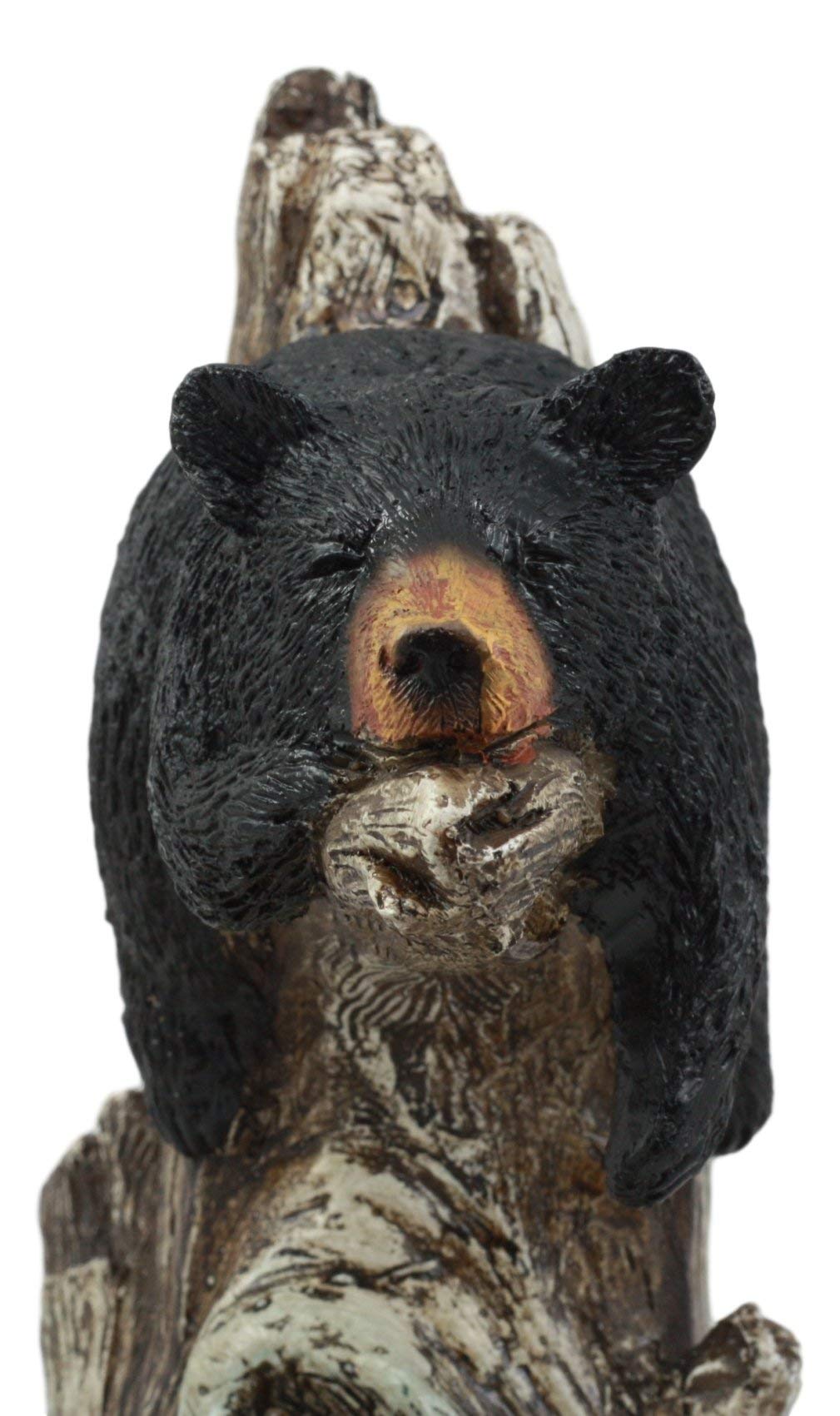 Ebros Lazy Days of Summer Black Bear Sleeping On Tree Branch Statue Wildlife Forest Rustic Cabin Decor Bear Figurine