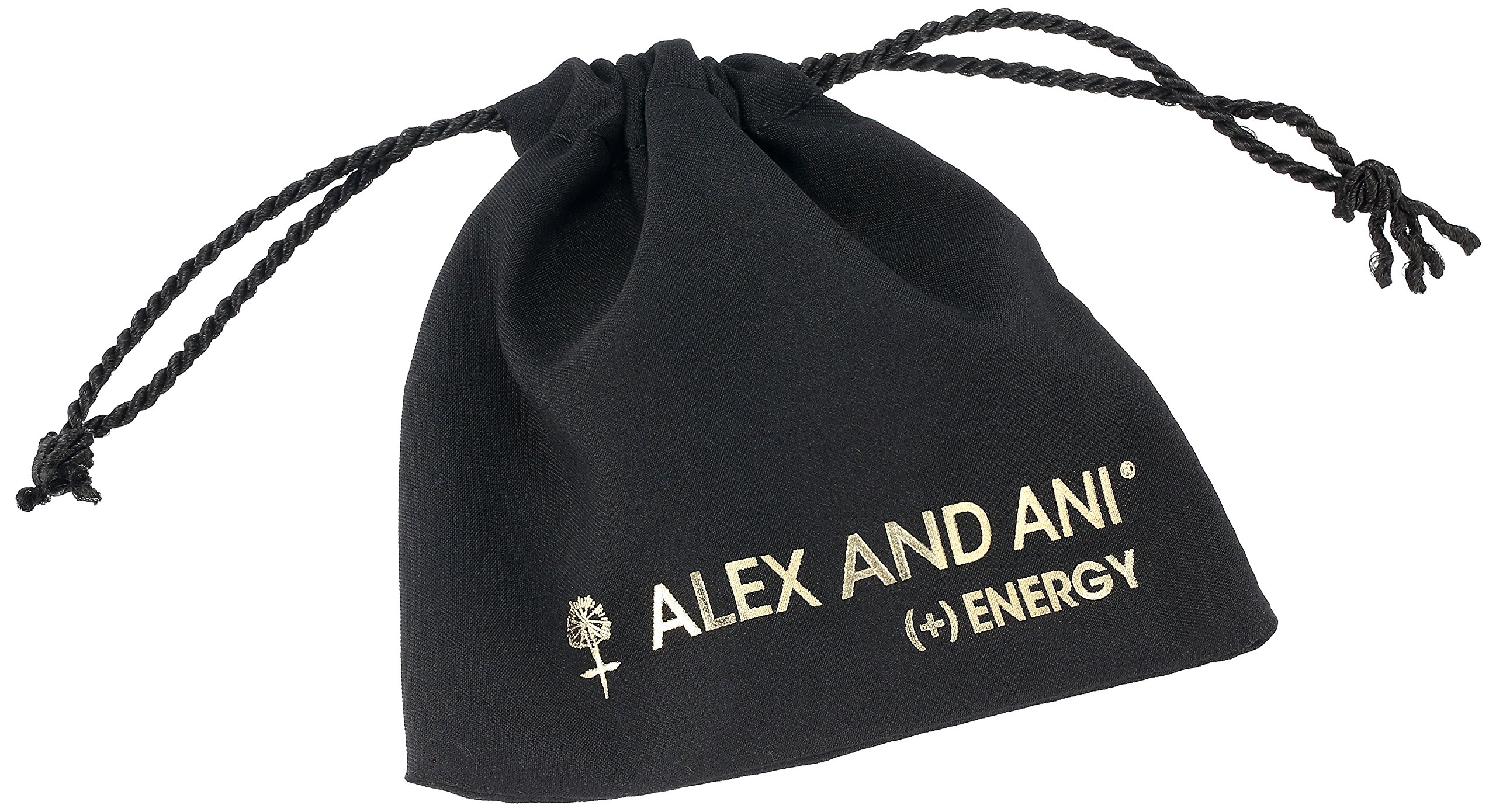 Alex and Ani Women's Kindred Cord Guarding Bracelet Rafaelian Silver One Size