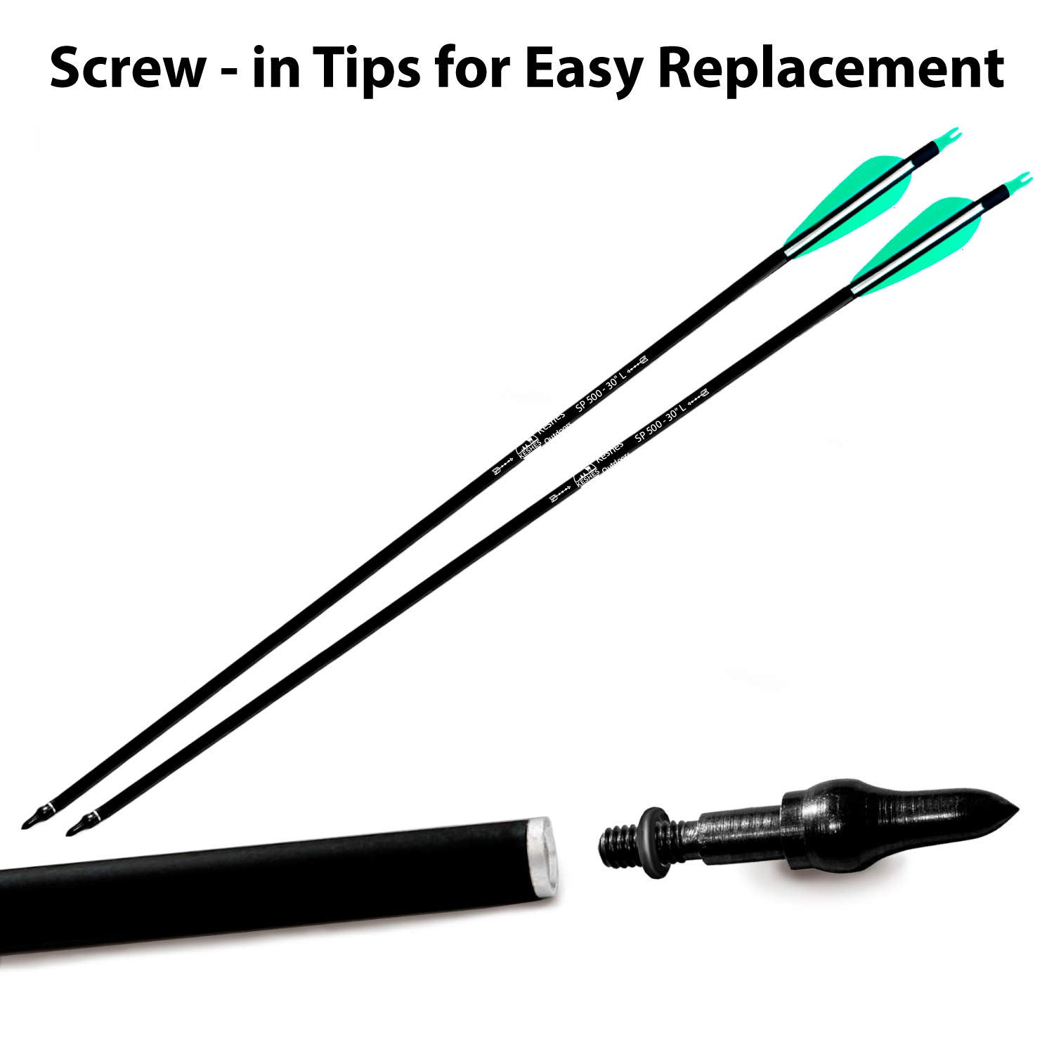 Archery Arrow Field Points Tips - Practice Target & Hunting Arrows Heads for Recurve, Compound Bow & Crossbow Bolts, Screw-in 100 Grain (12 Pack)