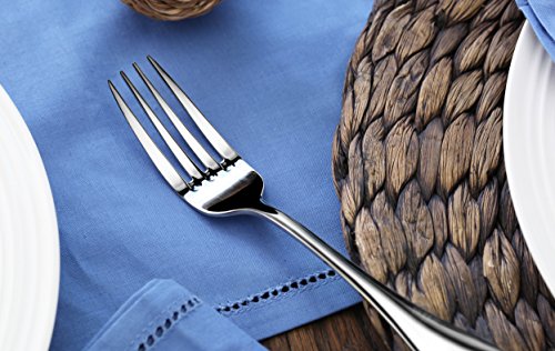 Artaste 59342 Rain 18/10 Stainless Steel Salad Fork, 7", Set of 12, Silver