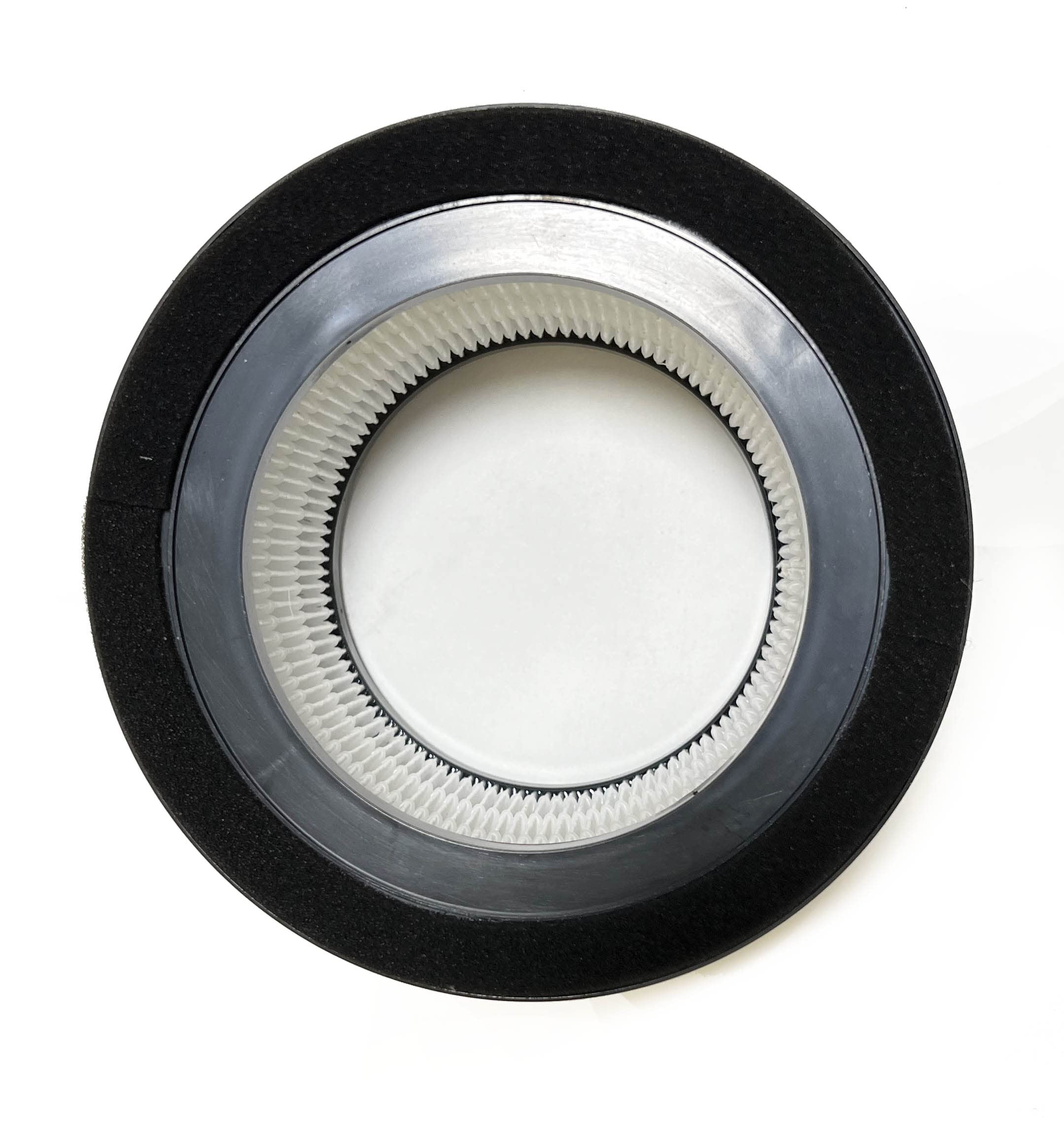 Nispira Replacement Filter L True HEPA + Activated Carbon Pre Filter Compatible with GermGuardian Air Purifier AC4200W FLT4200, 2 Packs