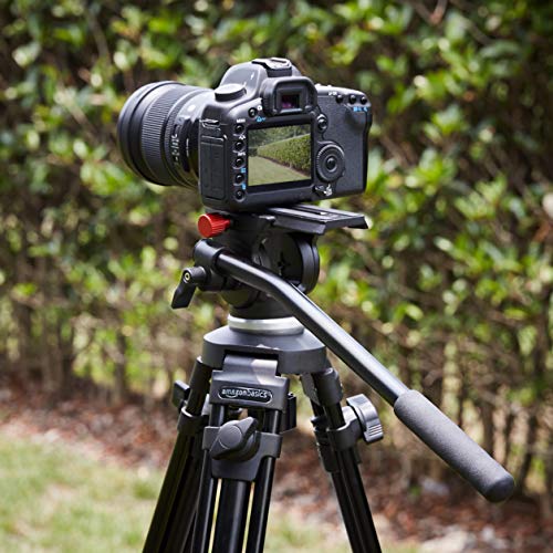 Amazon Basics Professional Aluminum Video Tripod - 65", Heavy Duty, With Fluid Head