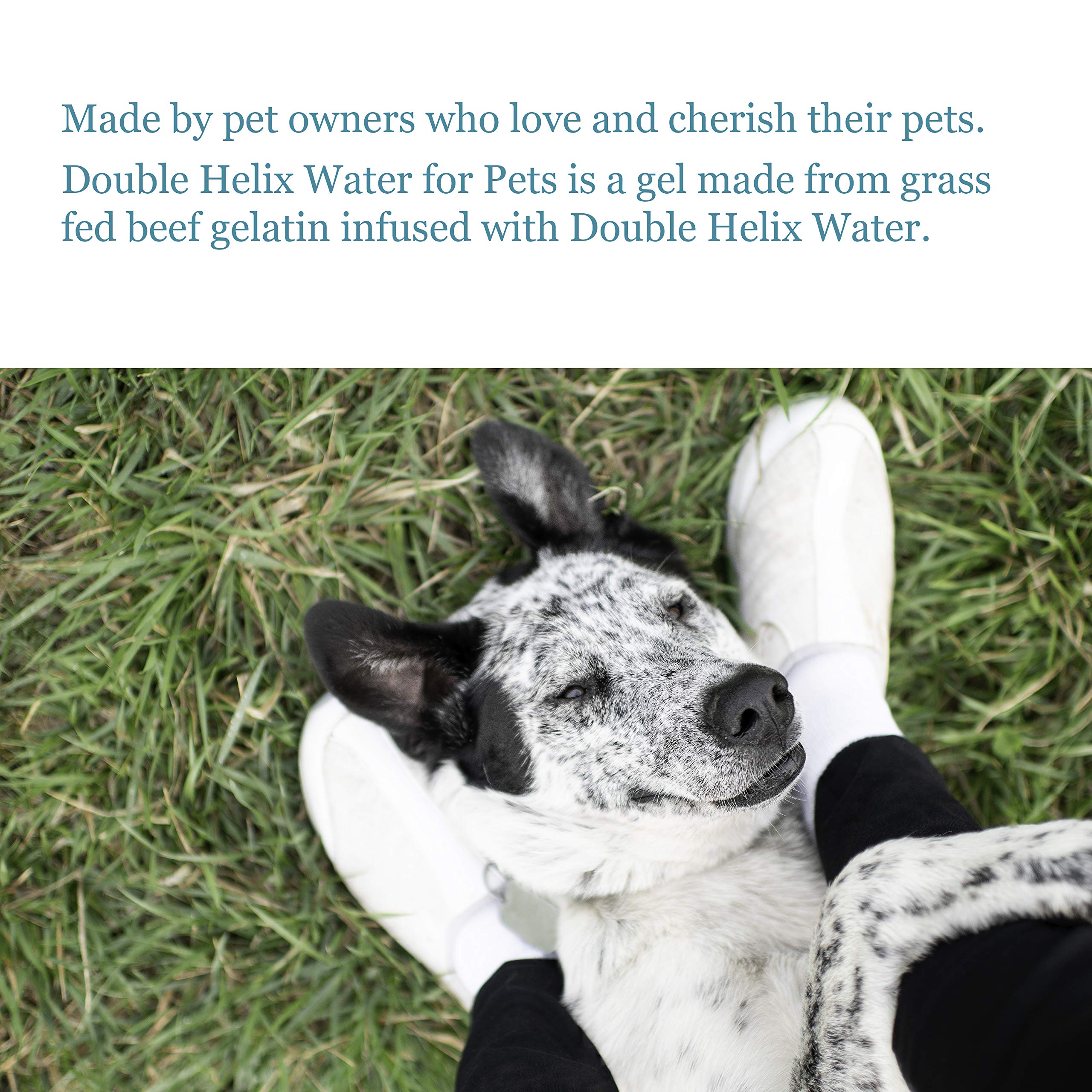 Double Helix Water for Pets, Joint Supplement for Dogs, Cats & Pets - Helps Improve Digestion & Coat Health, Reduces Inflammation, Cat & Dog Vitamins in a Grassfed Non-GMO Beef Gelatin Base (8 oz)