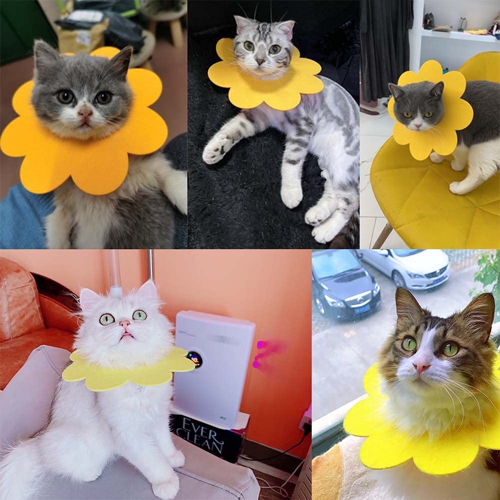 QIYADIN 5 Pieces Pet Cone Collar, Soft Recovery Cone for Cats Puppy Rabbit, Elizabethan Collars Cat Cones Flower Shape Loops-Protective Wound Healing. Not Affect The Pet Eat and Drink (M)
