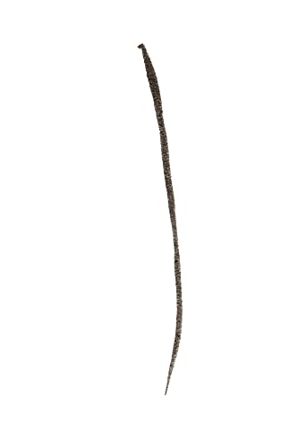 Arches & Halos Angled Bristle Tip Waterproof Brow Pen - Water Based And Smudge Proof - Fills In Sparse Eyebrows And Gives Fuller Effect - Covers Scars Or Overplucked Brows - Dark Brown - 0.051 Oz