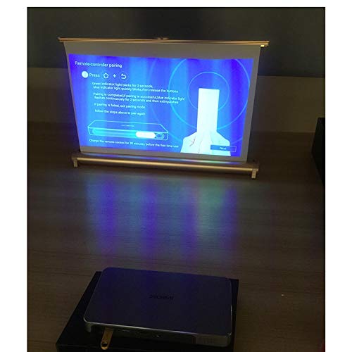 APAINI 20 Inch Projector Screen 16:9 Desktop Portable Front Projection Screen for Business Meeting