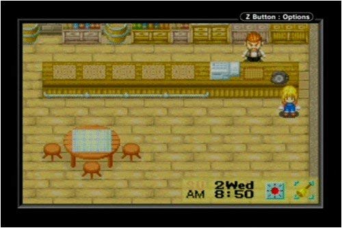 Harvest Moon More Friends of Mineral Town (Renewed)